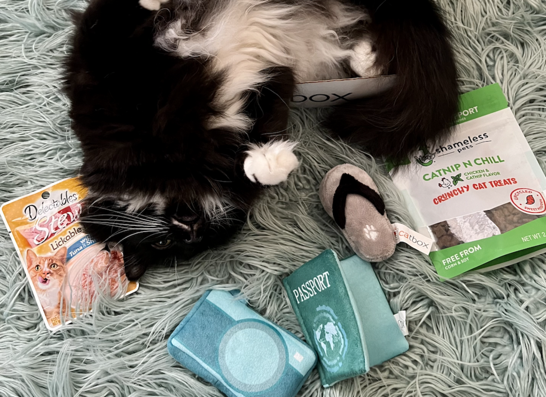 catbox: Cat Toys & Treats With A Fun Theme In Each Box! – CatBox