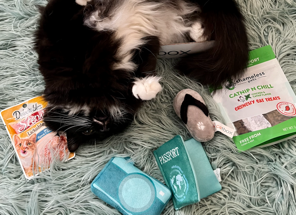 catbox: Cat Toys & Treats With A Fun Theme In Each Box! – CatBox